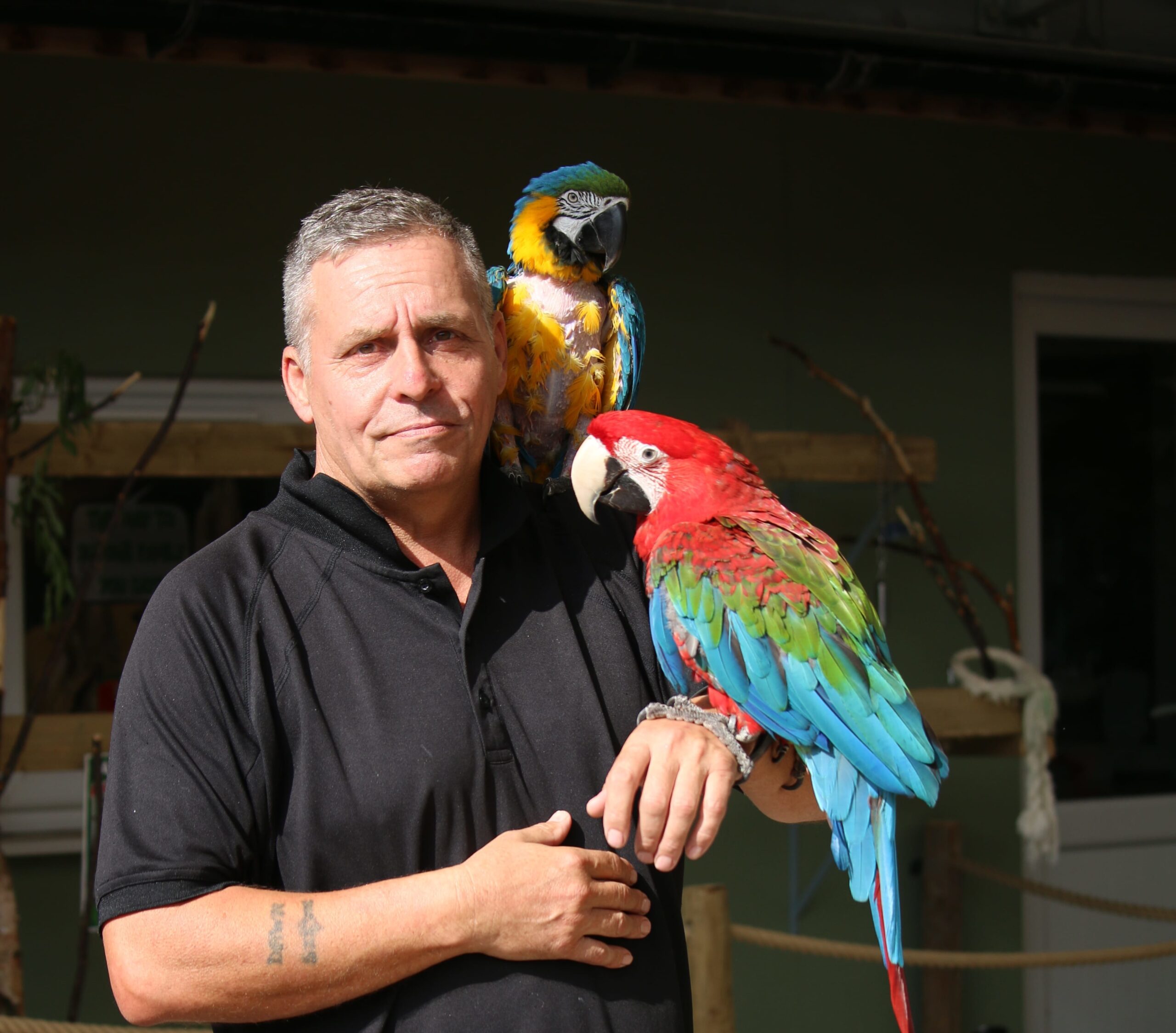 A new direction for parrot conservation - Veterinary Practice