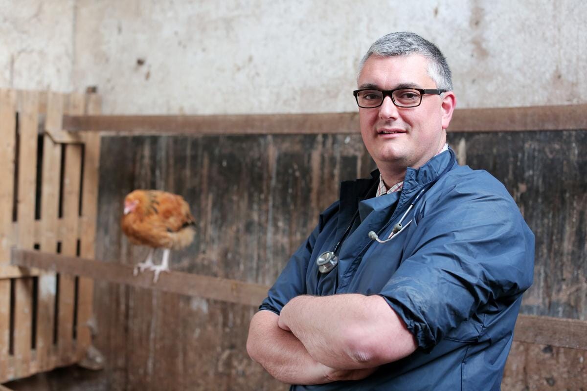 Is it time for vets to adopt a bigger role in sustainability ...