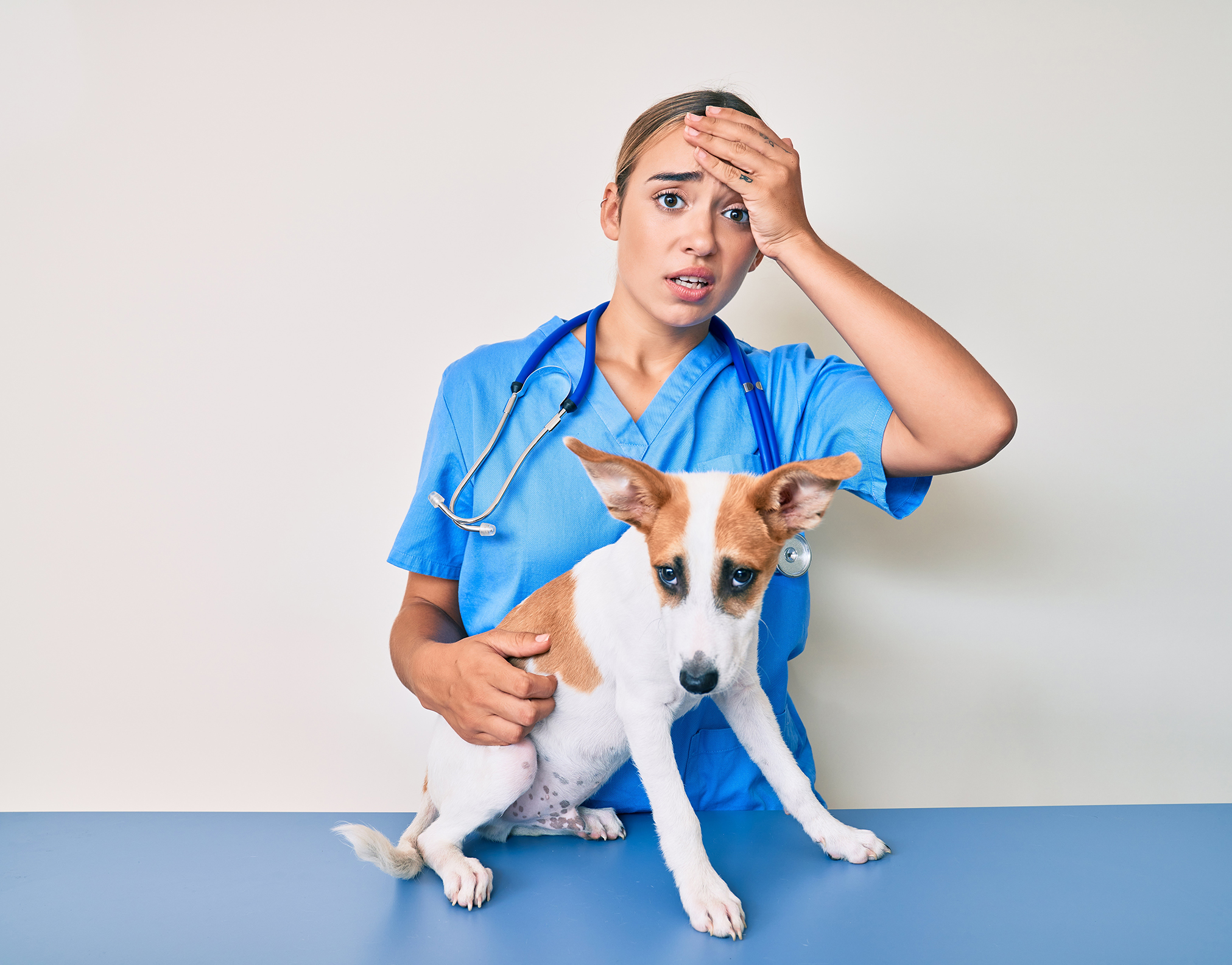 “Do stressed people, he asked, or for that matter, stressed animals ...