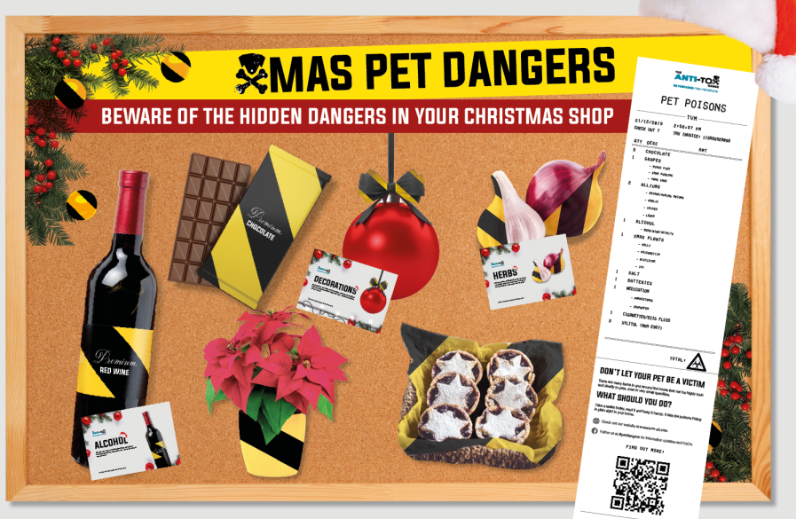 Campaign for festive poisoning dangers by TVM - Veterinary Practice