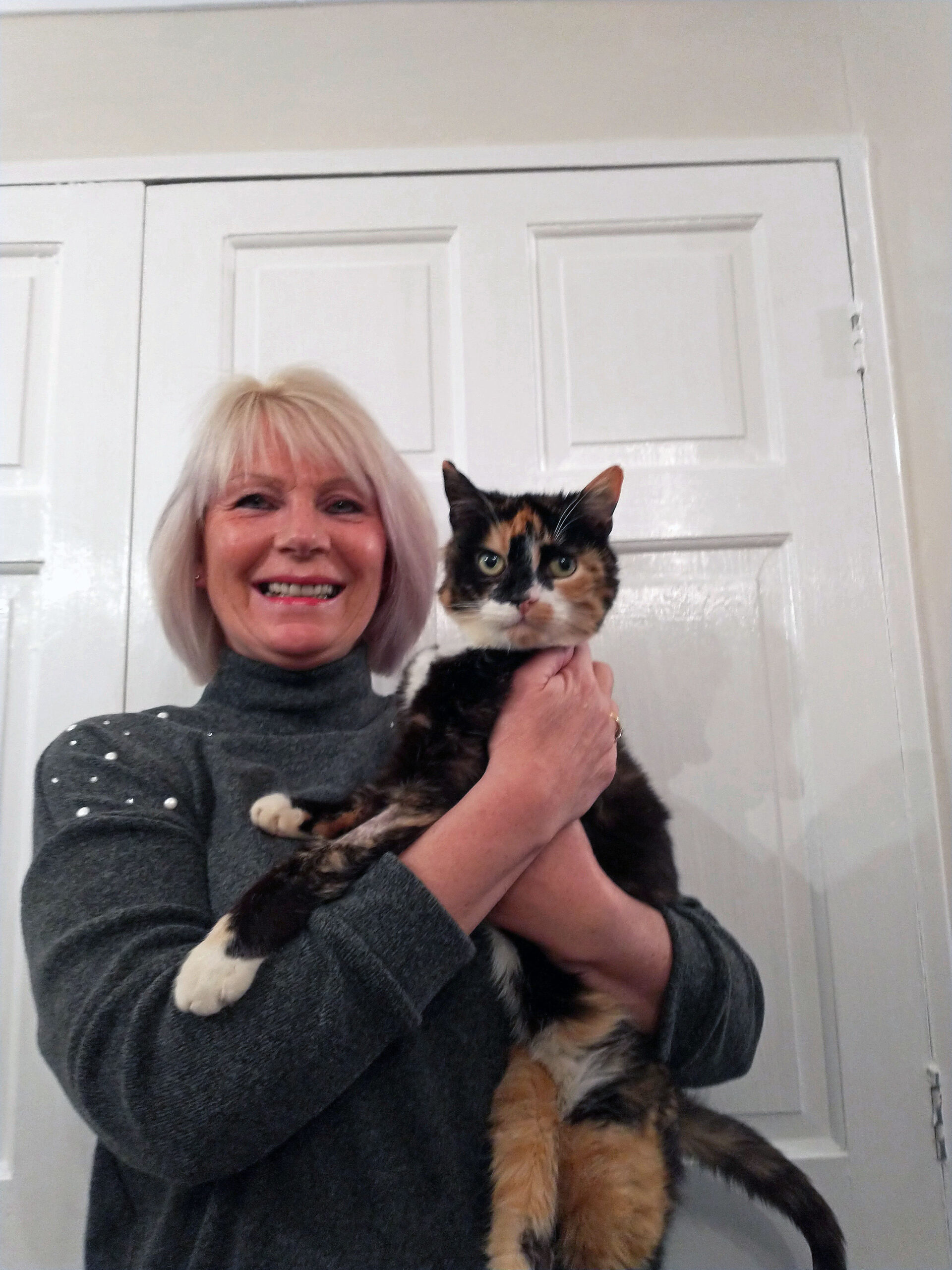 Pitch invader cat fit again and reunited with owner - Veterinary Practice