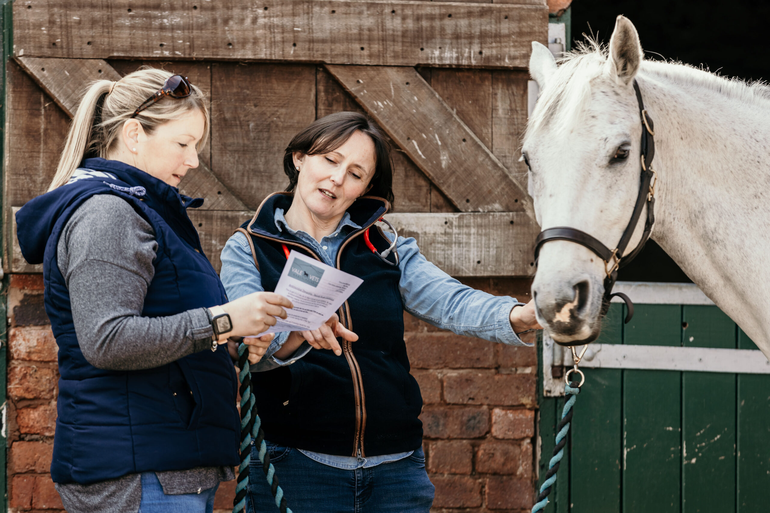 New equine health scheme hits 100-clinic milestone - Veterinary Practice