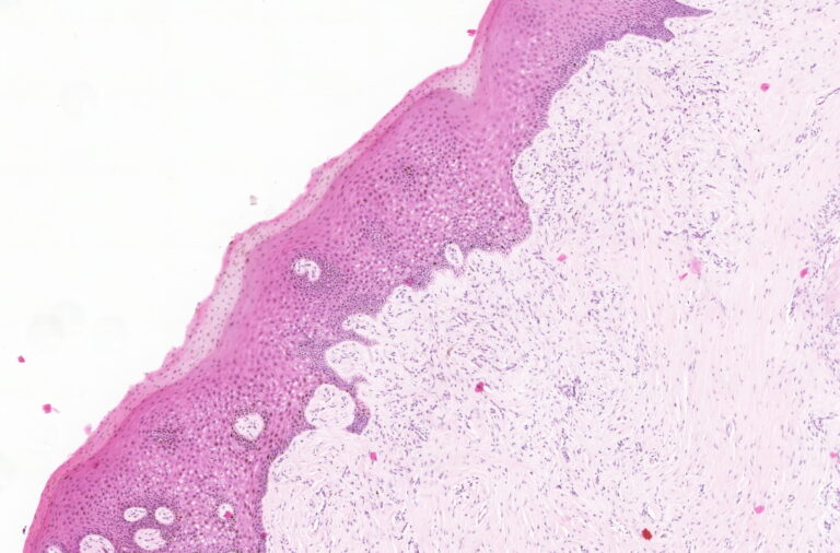 The ABC of diagnostic pathology - Veterinary Practice