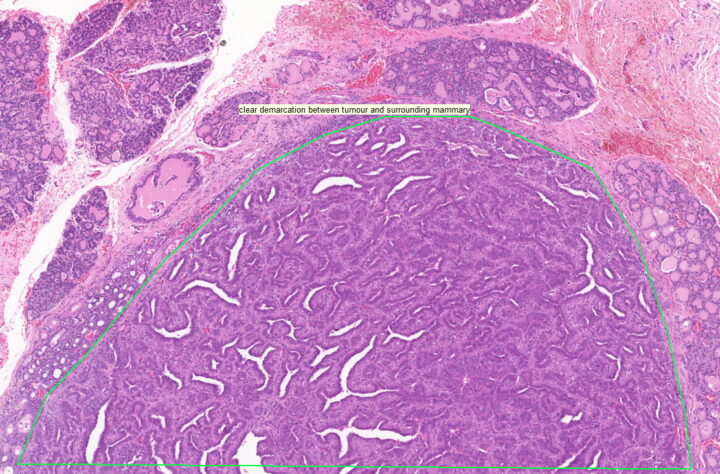The ABC of diagnostic pathology - Veterinary Practice