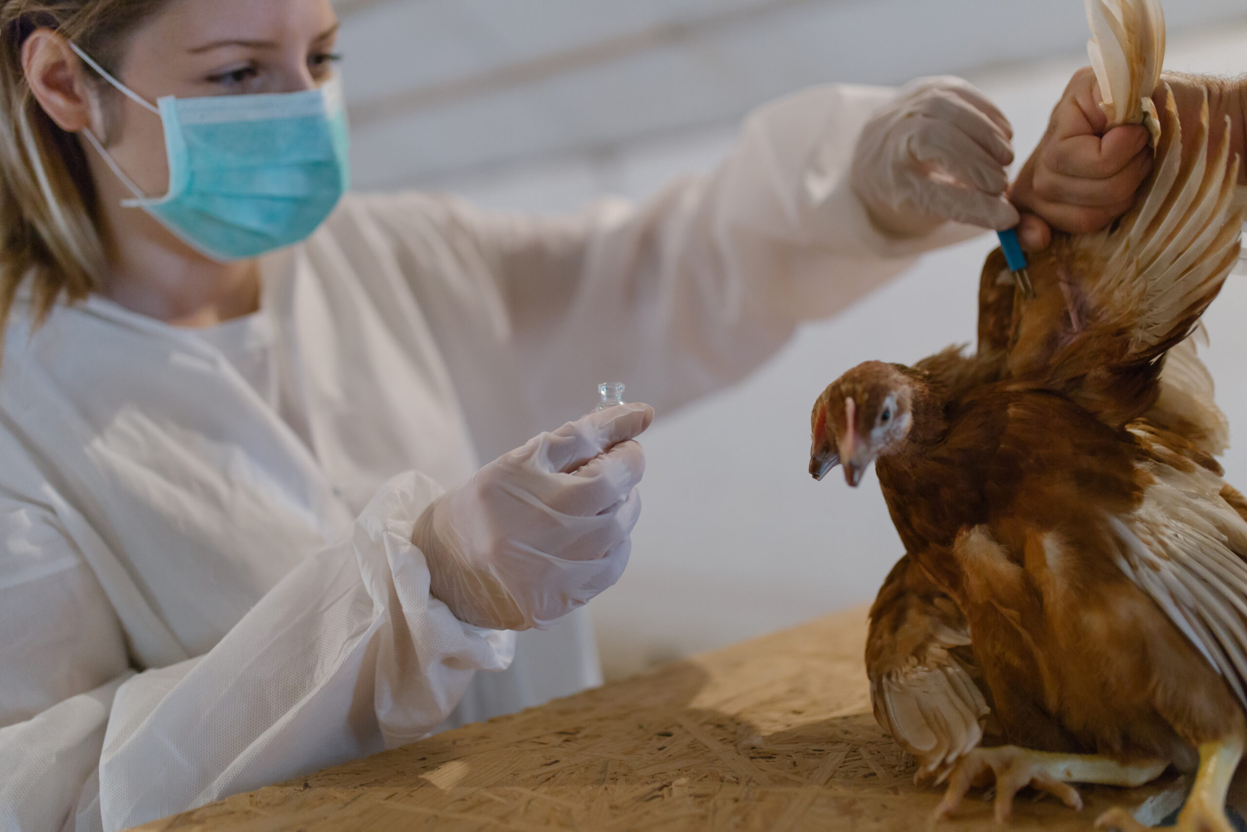 The importance of biosecurity in exotic practice - Veterinary Practice