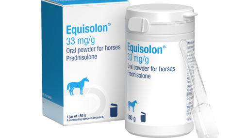 May 2020 | Volume 52 Number 4 Archives - Veterinary Practice