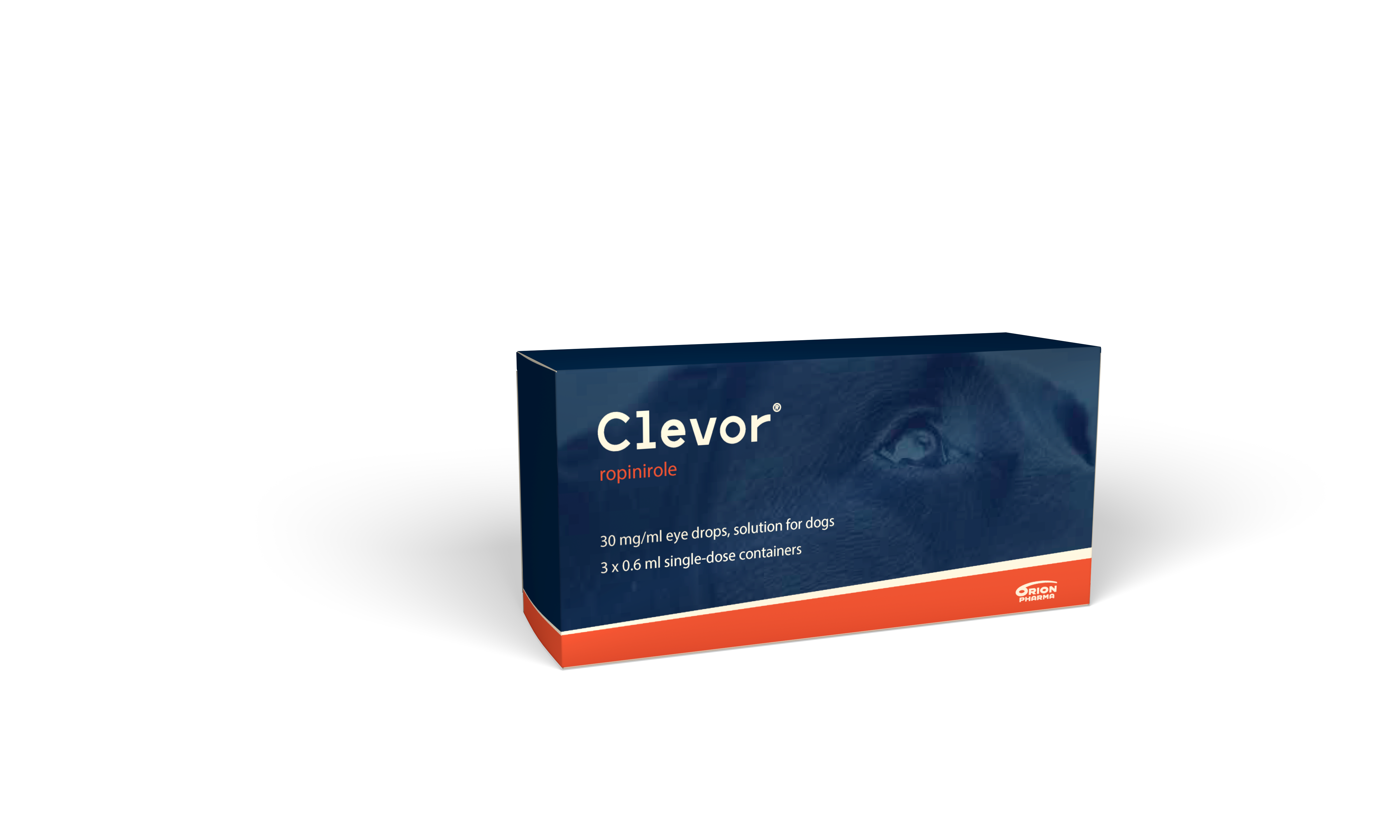 Easter pet poisoning solution from Animalcare - Veterinary Practice