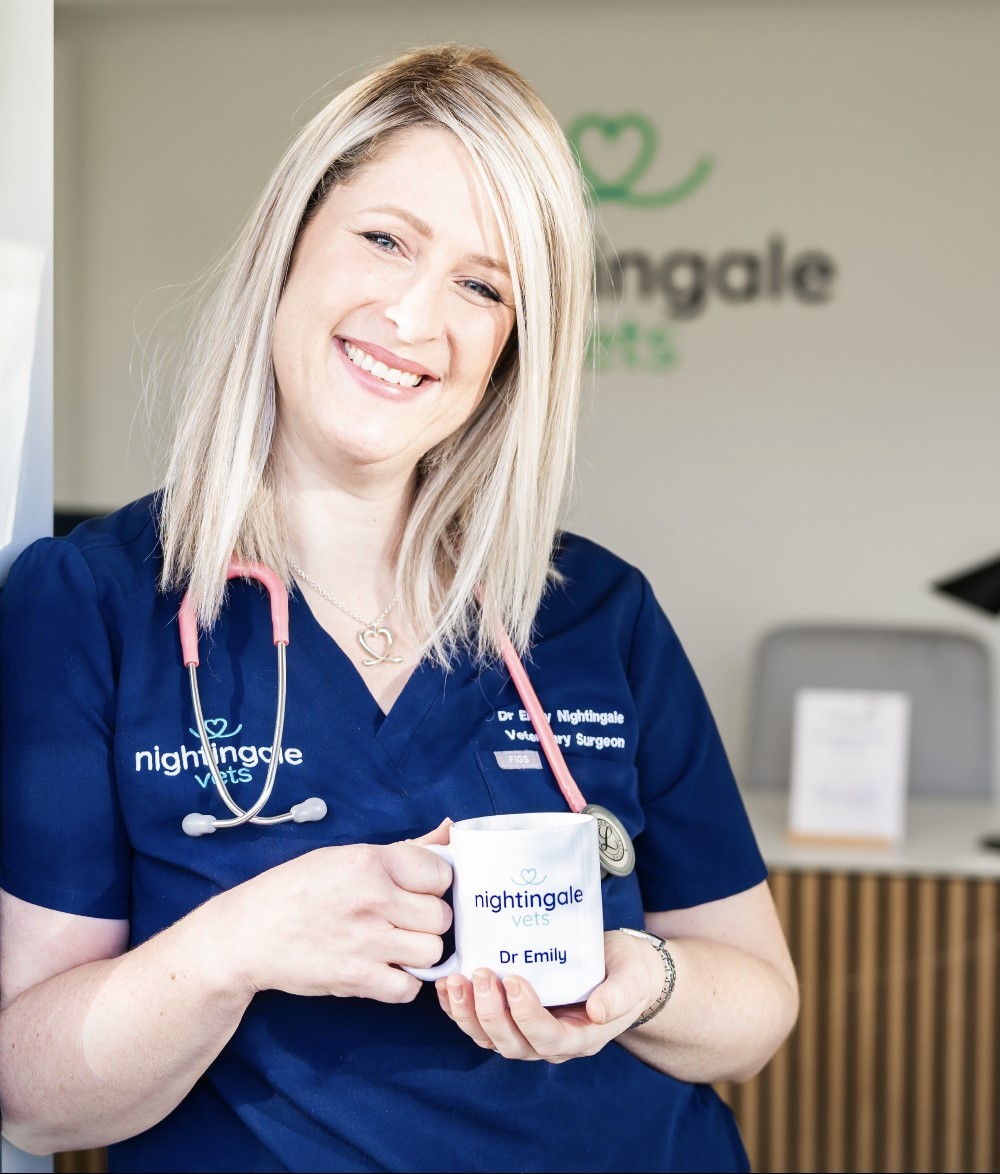 The early days in your new practice – management and leadership ...