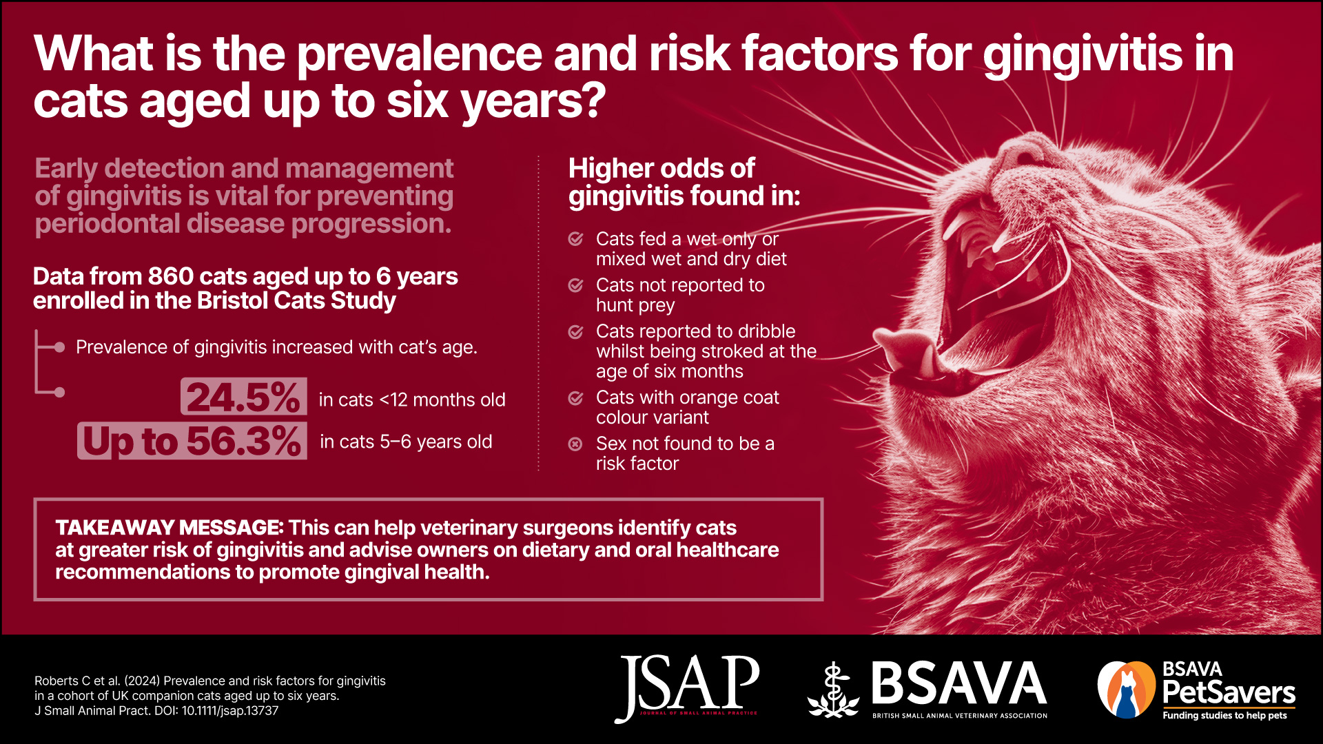 New study finds risk factors for gingivitis in cats - Veterinary Practice