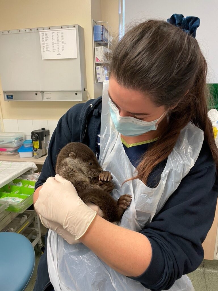 Specialising in exotics practice: a bumpy road with great rewards ...