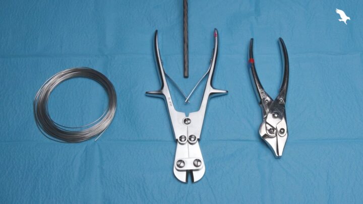 Application of cerclage wire - Veterinary Practice