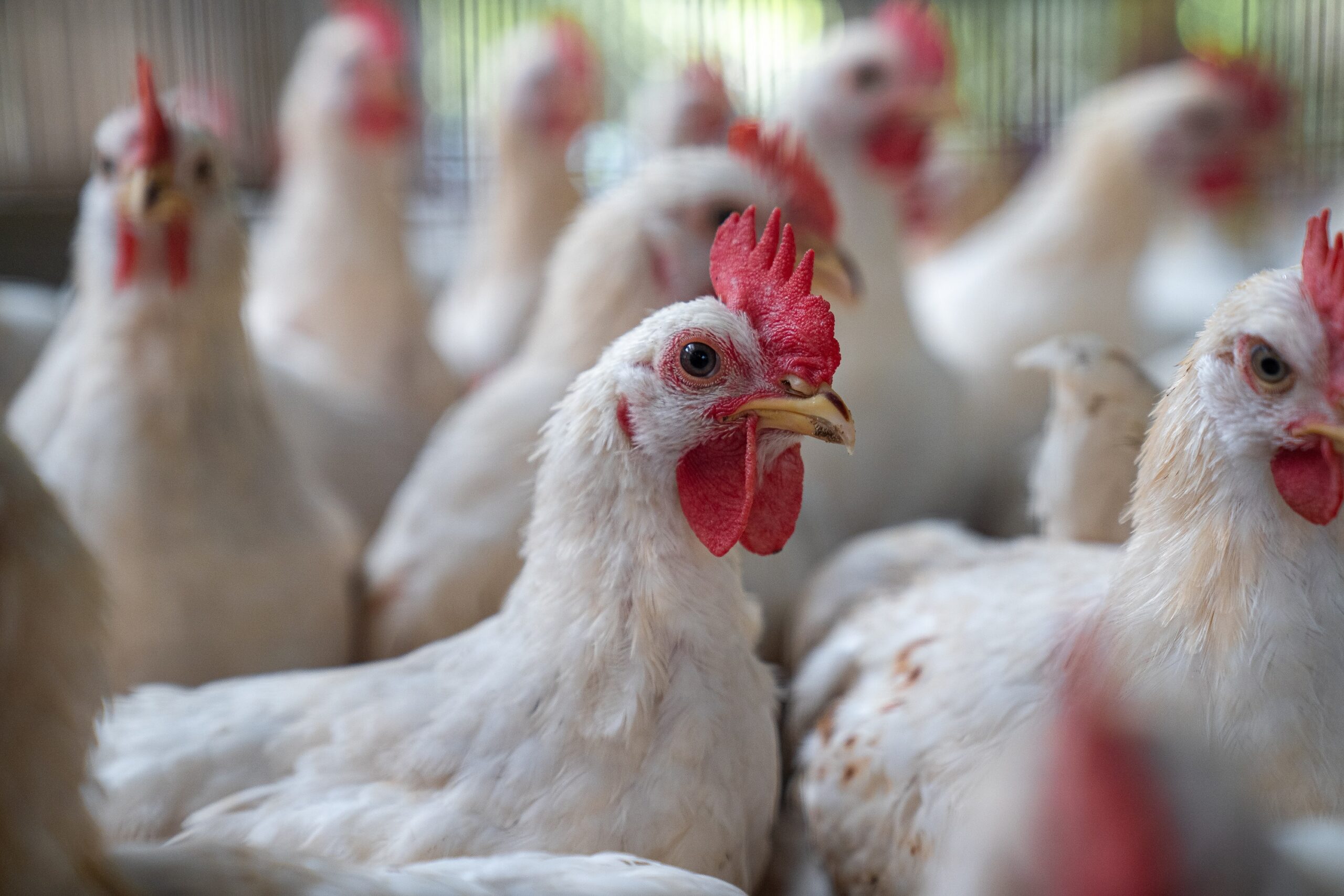 New research reveals differing views and challenges to improving UK ...